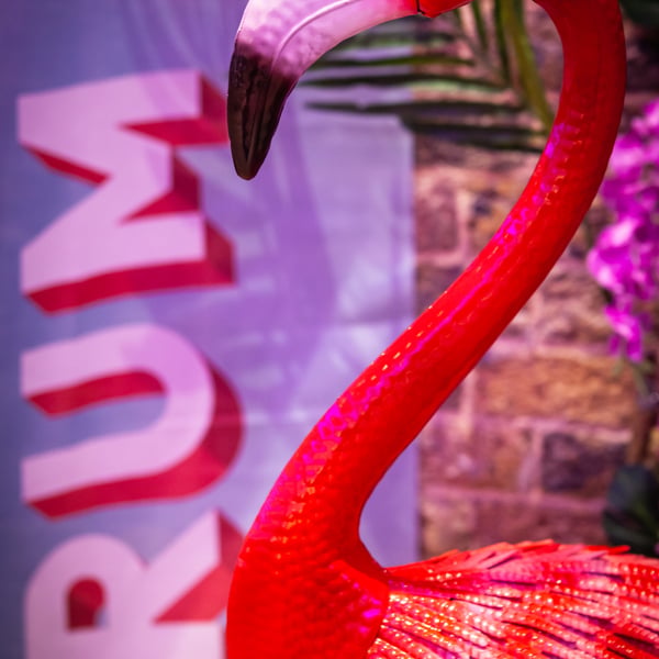 Rum Show (ON SALE NOW) : The Whisky Exchange