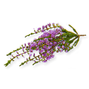 Bell's Original : The Whisky Exchange