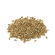 Stauning Rye Sample : The Whisky Exchange