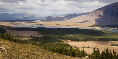 Poteen : The Whisky Exchange