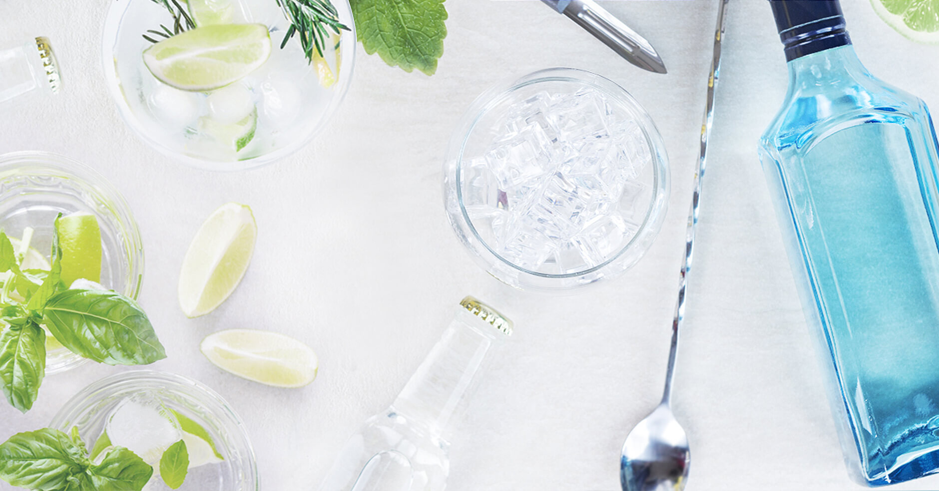 Focus On: Gin : The Whisky Exchange